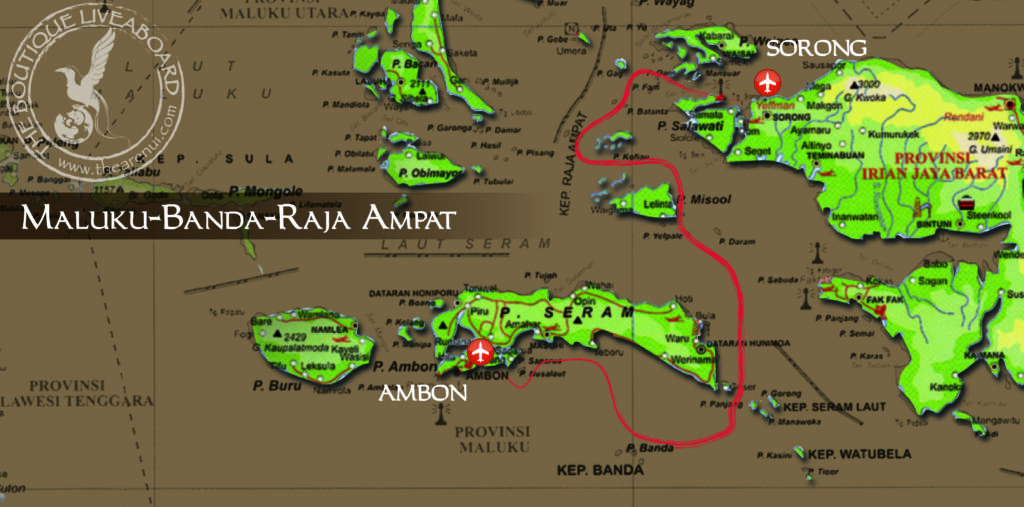 MALUKU-BANDA-RAJA AMPAT 09-20 Dec 2026 | Arenui the Boutique Liveaboard